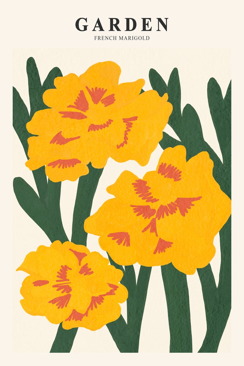 Large French Marigold Flower Printable Wall Art Vintage - Etsy
