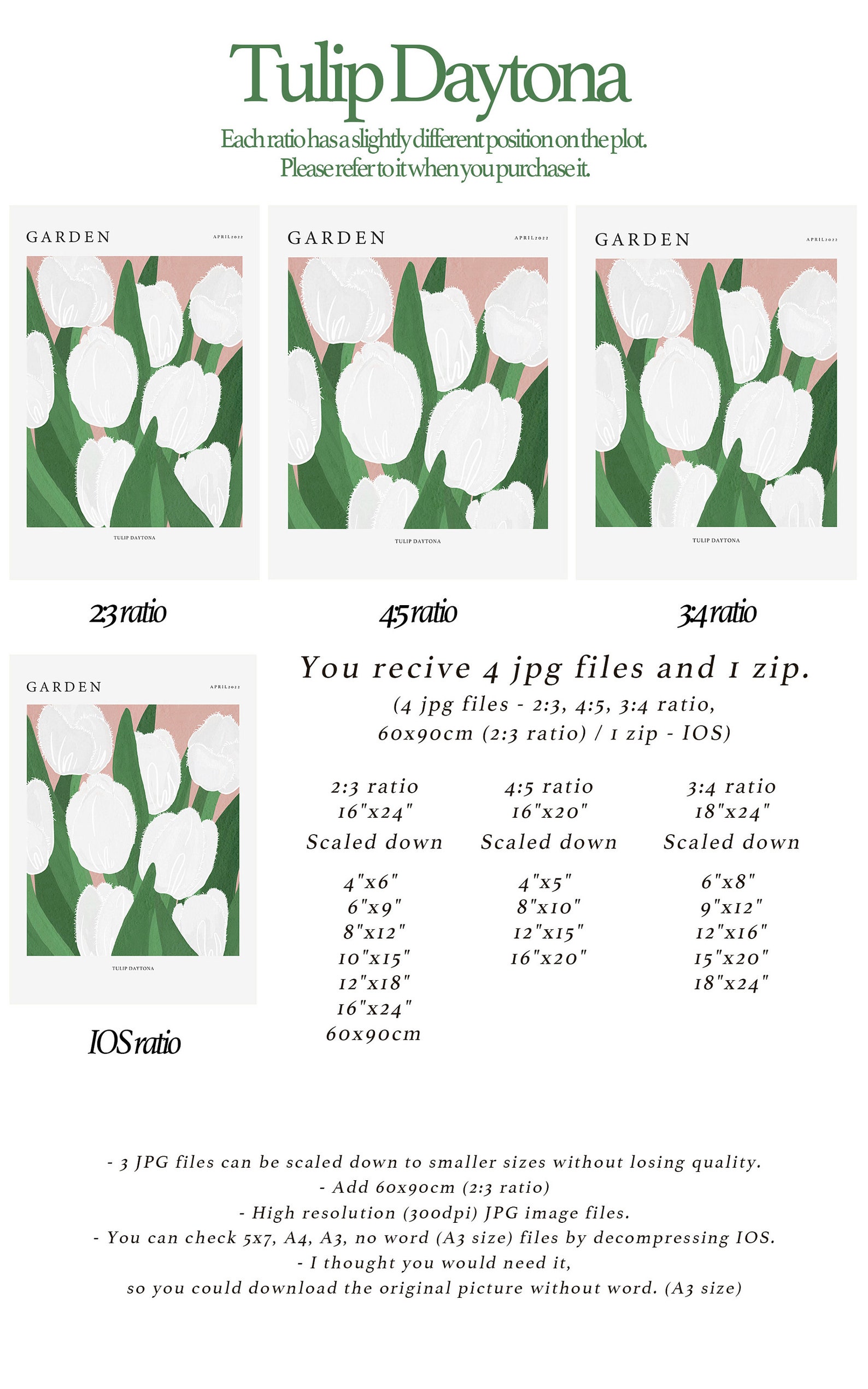 Large Tulip Daytona Floral Printable Wall Art Vintage Wall - Etsy