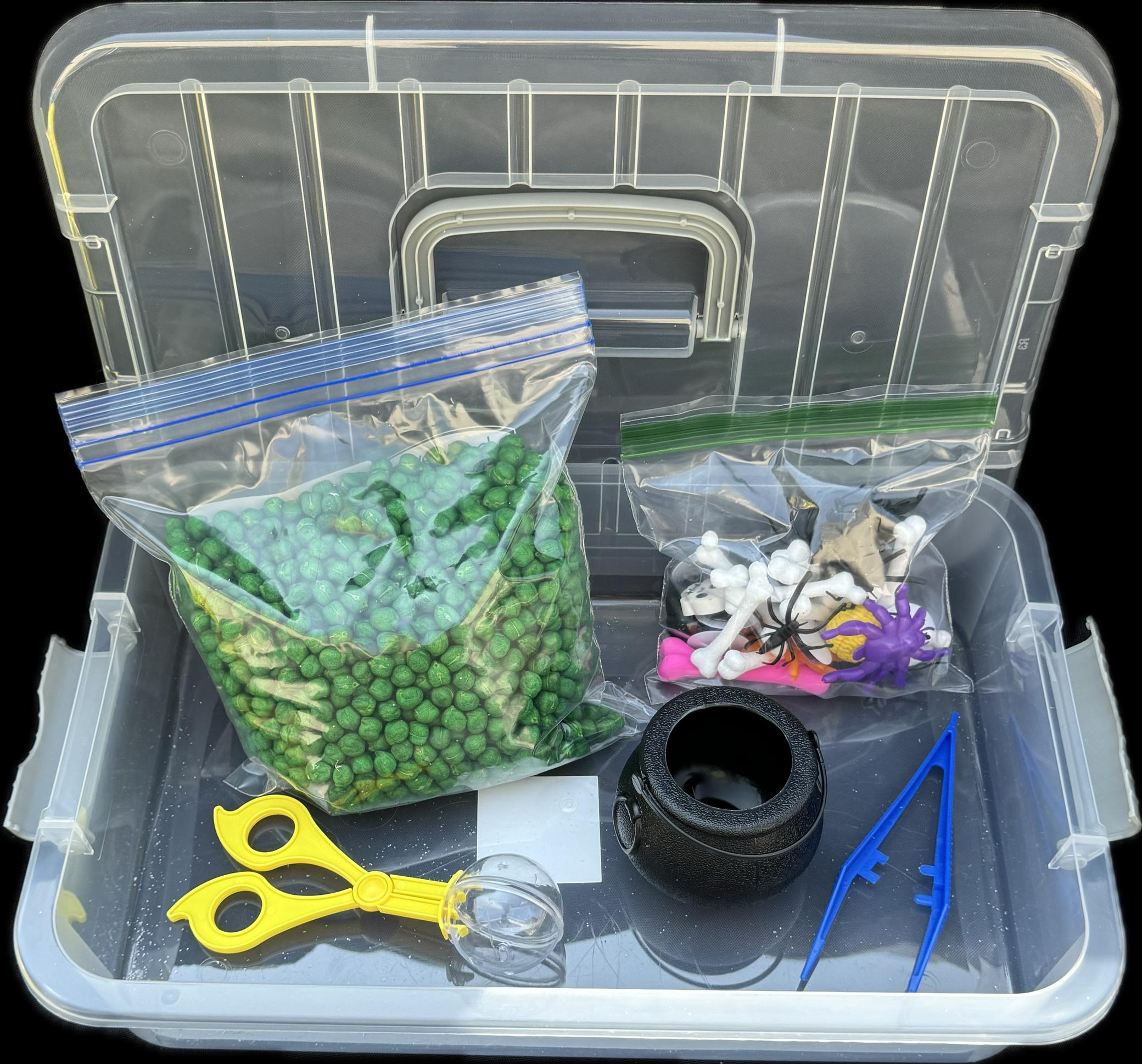 Halloween Sensory Ispy Tube or Bin for Kids - Etsy