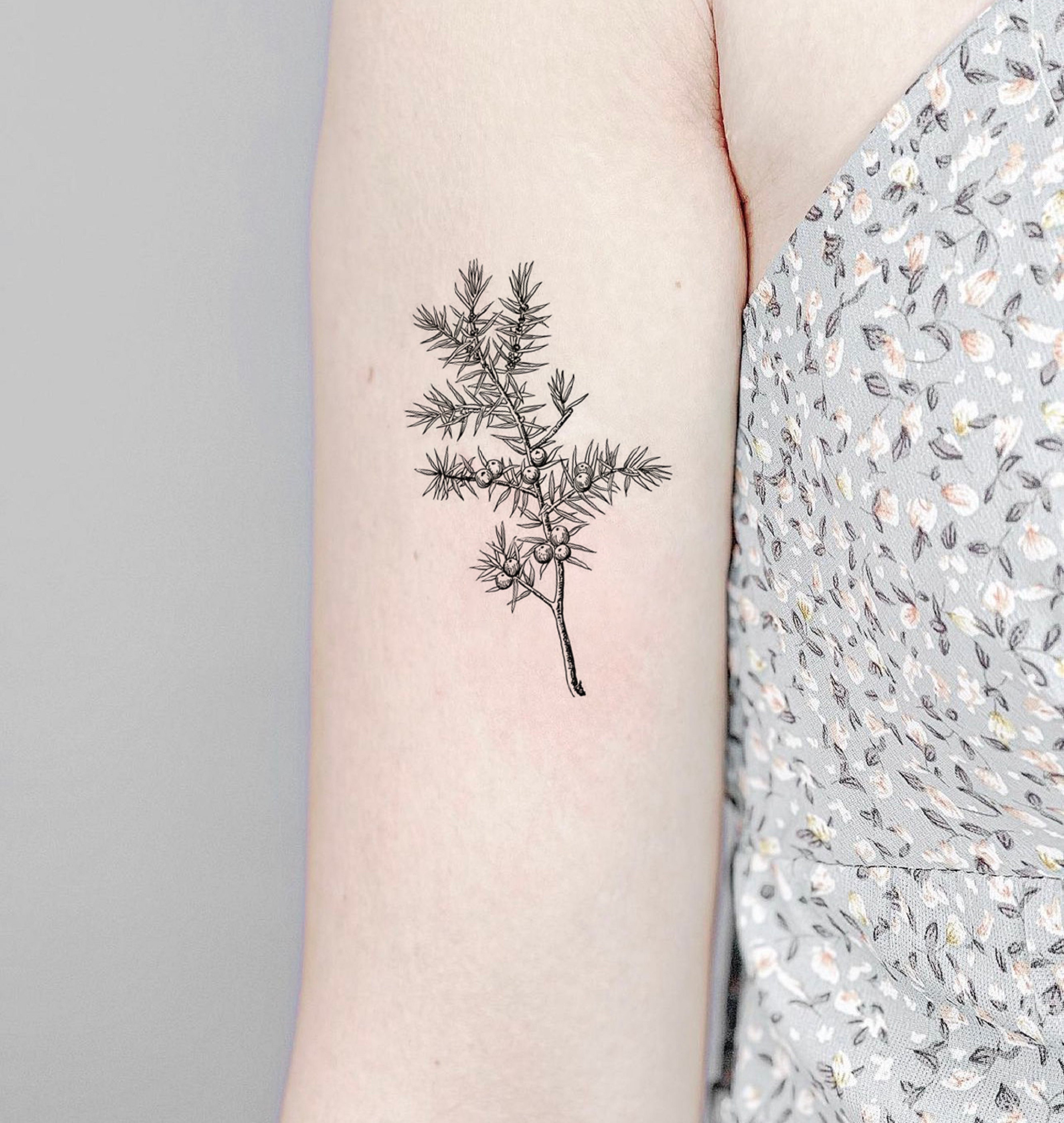 Juniper Branch Tattoo
