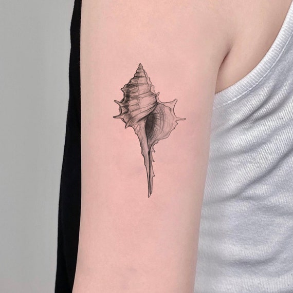 Conch Shell Tattoo