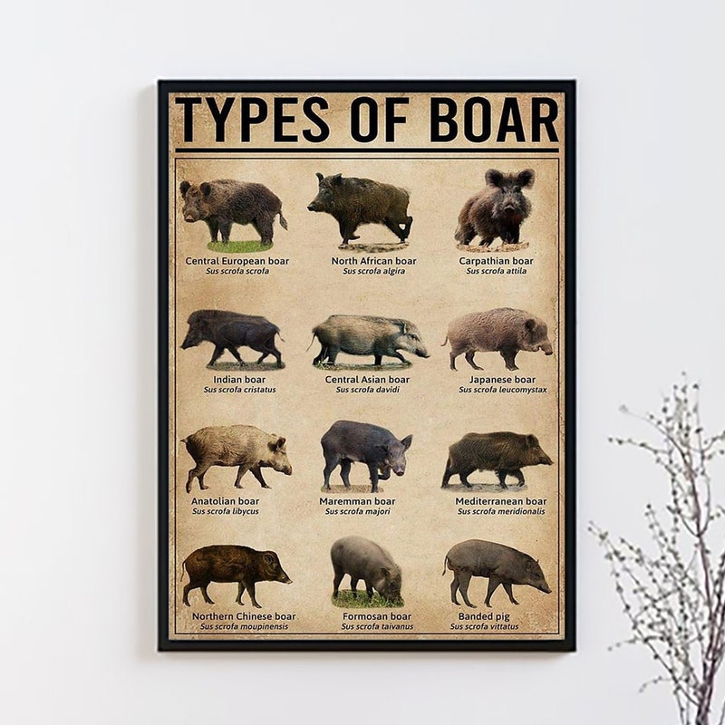Boar Art - Etsy