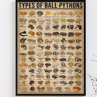 Anatomy of A Boa Constrictor Snake A4 Signed Print - Etsy