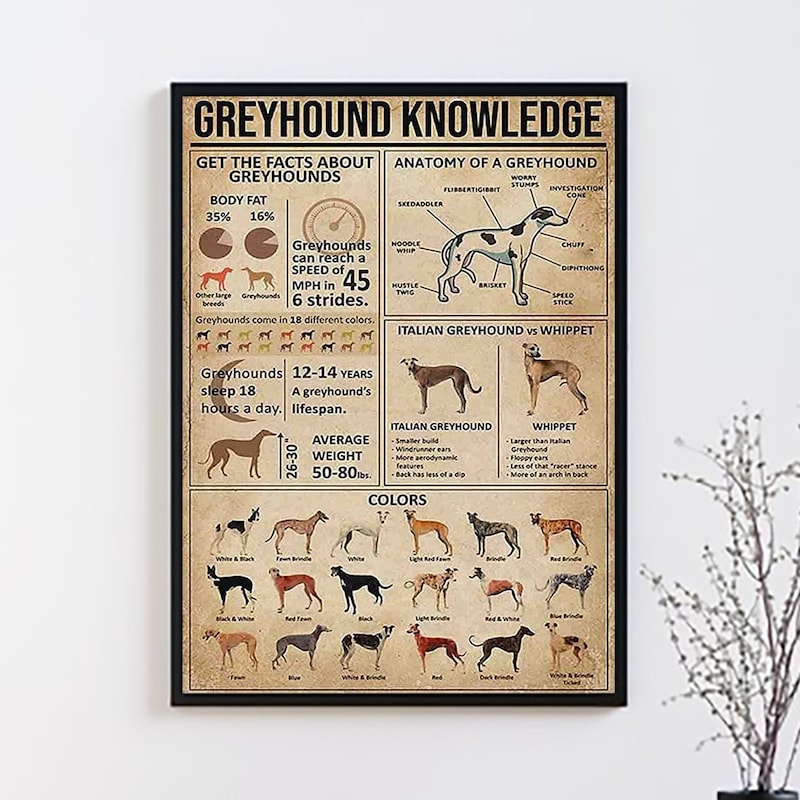 Central Greyhound Lines 1950 1960 Operations Timeline - Etsy Canada