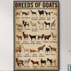 Goat Print Set of 5 Goat Poster Goat Painting Goat Art Print Goat Gifts ...