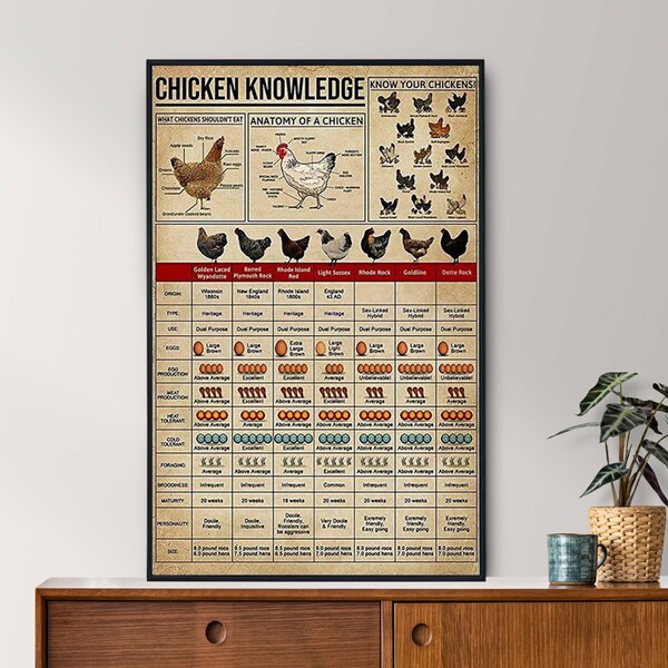 Chicken Poster - Etsy