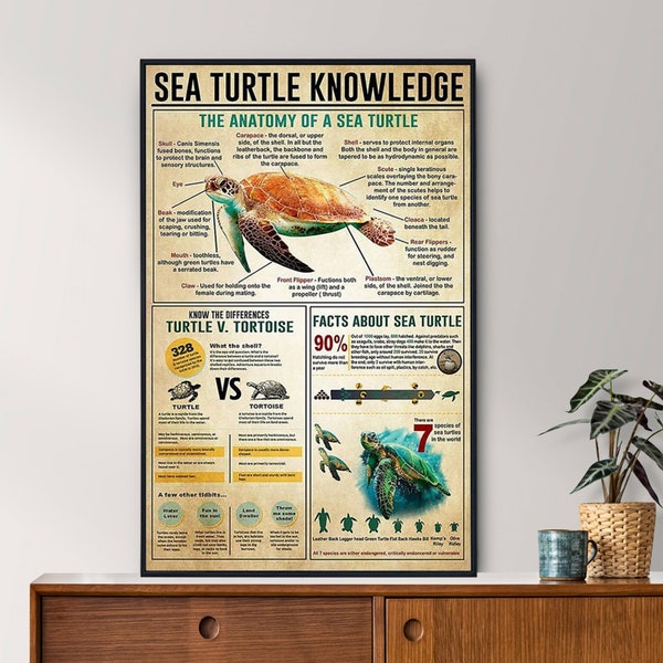 Sea Turtle Poster - Etsy