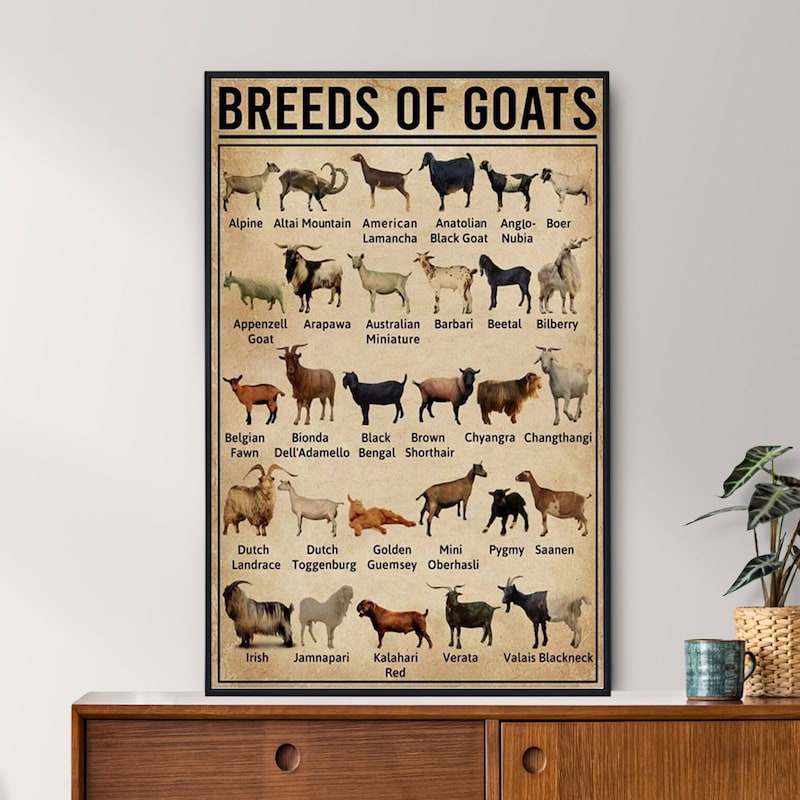Goat Poster - Etsy