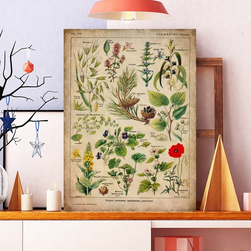 Kruiden poster - Etsy Nederland