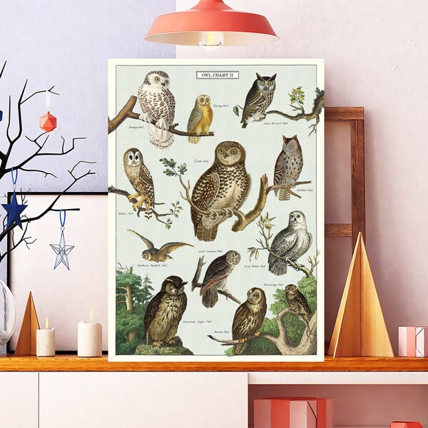 Owl Chart - Etsy
