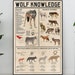 Unframed Wolf Knowledge Poster, Wolf Lover Gift, All About Wolf ...