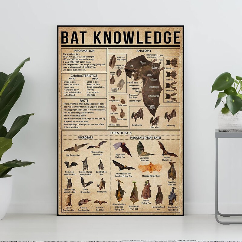 Bat Poster - Etsy