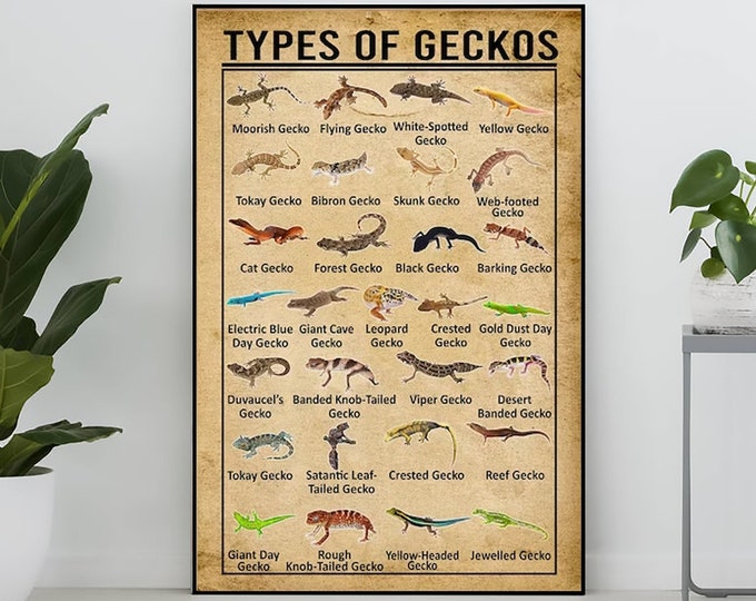Types of Geckos Poster, Gecko Lover Gift, Gecko Print, Gecko Art ...