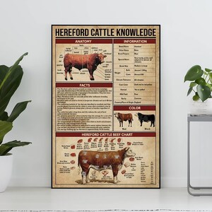 Hereford Cattle Knowledge Vintage Poster, Hereford Cattle Lover Gift ...