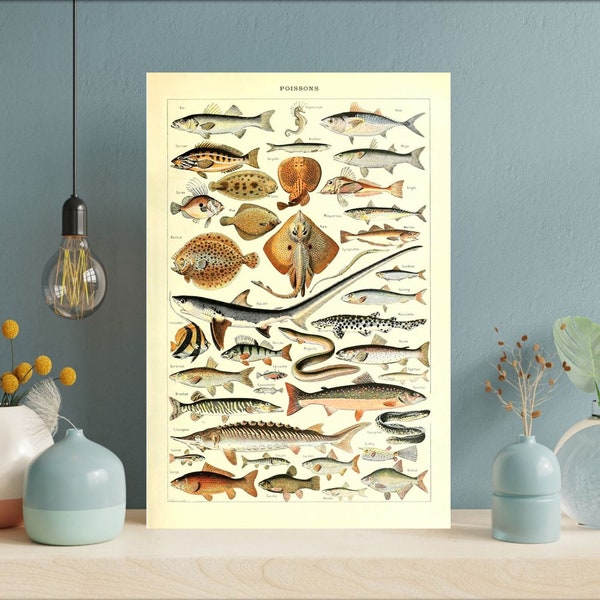 Antique Fish Print - Etsy