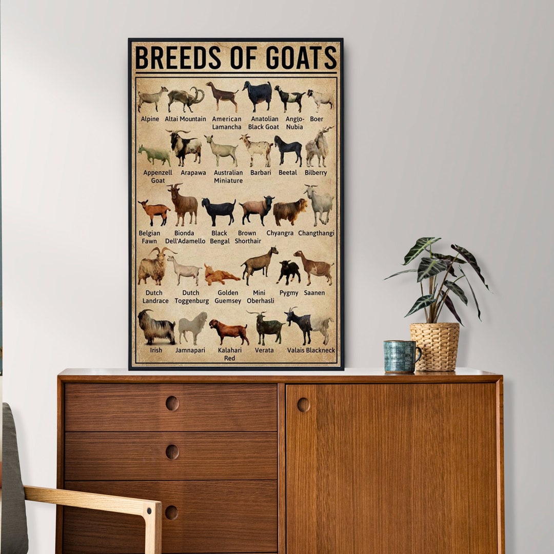 Breeds of Goats Poster, Goat Lover Gift, Goat Art Print, Vintage ...