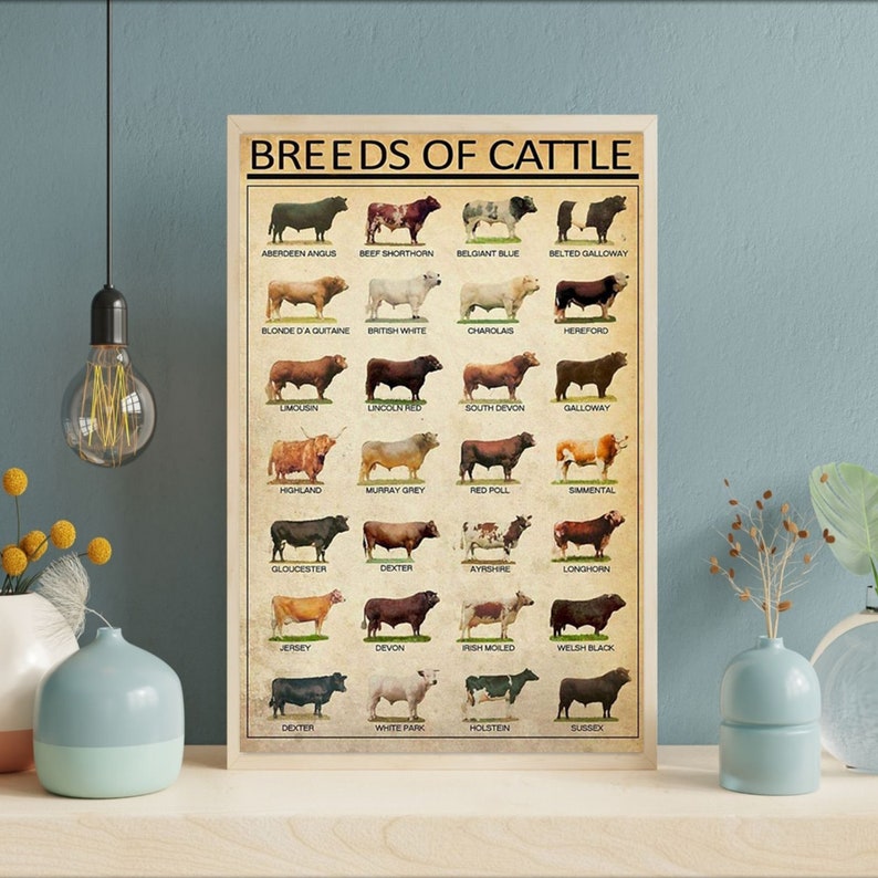 Unframed Breeds of Cattle Poster, Cattle Lover Gift, Cattle Vintage Art ...