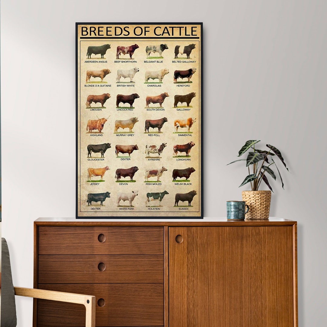 Breeds of Cattle Poster, Cattle Lover Gift, Cattle Vintage Art, Vintage ...