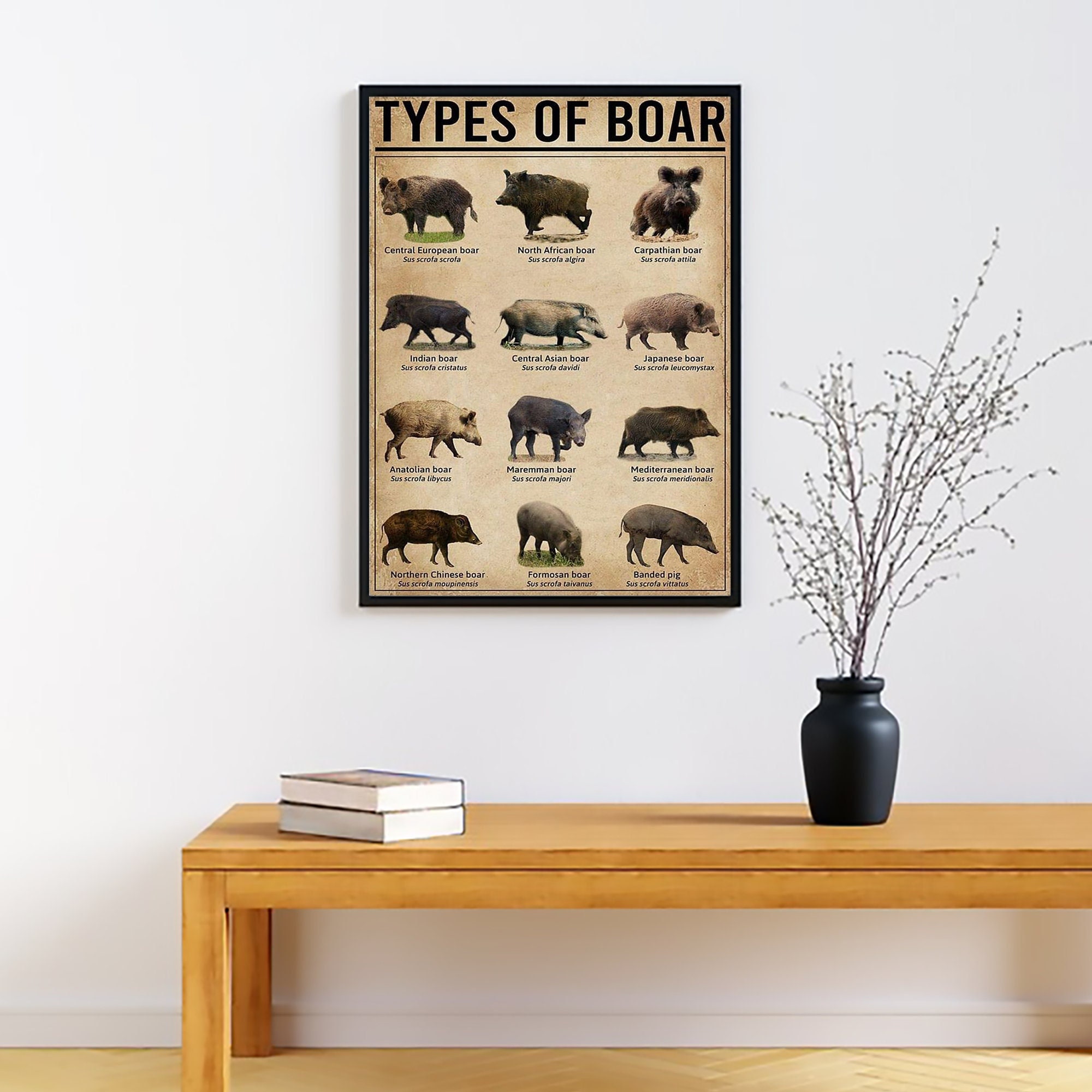 Types of Boar Poster, Boar Lover Gift, Boar Poster, Boar Art Print ...