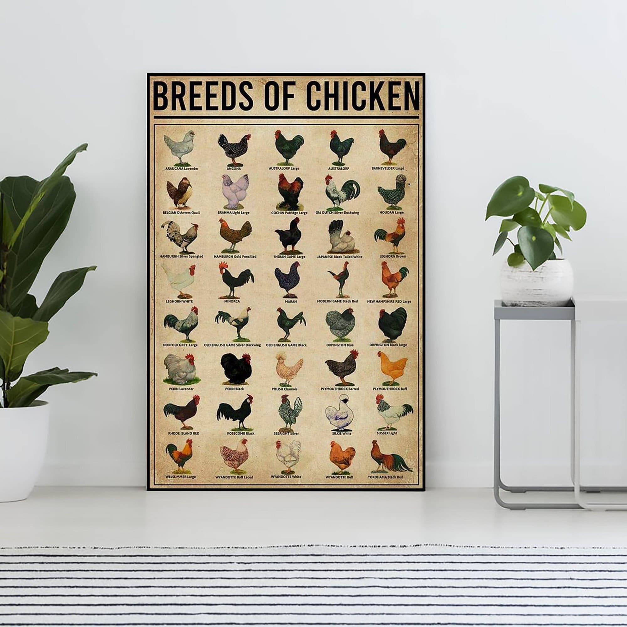 Breeds of Chicken Poster, Chicken Lover Gift, Chicken Retro Print ...