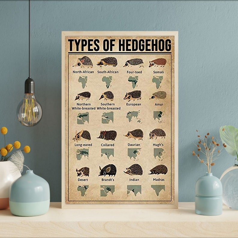 Unframed Types of Hedgehog Poster, Hedgehog Lover Gift, All About ...