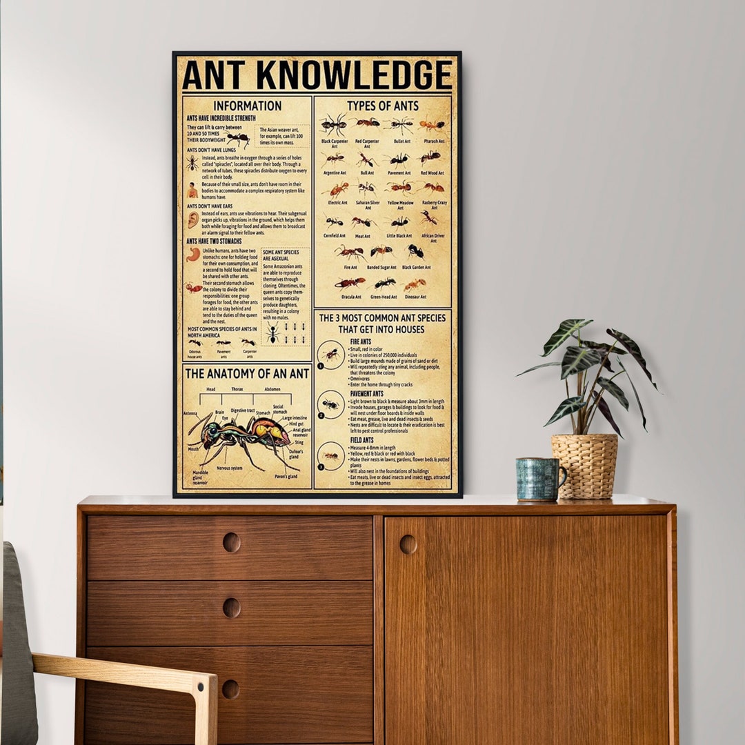 Unframed Ant Knowledge Poster, Ant Lover Gift, All About Ant, Vintage ...