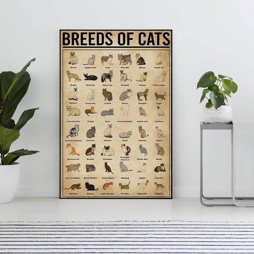 Breeds of Cats Vintage Poster, Cat Lover Gift, Cat Art Print, Cat Gift ...
