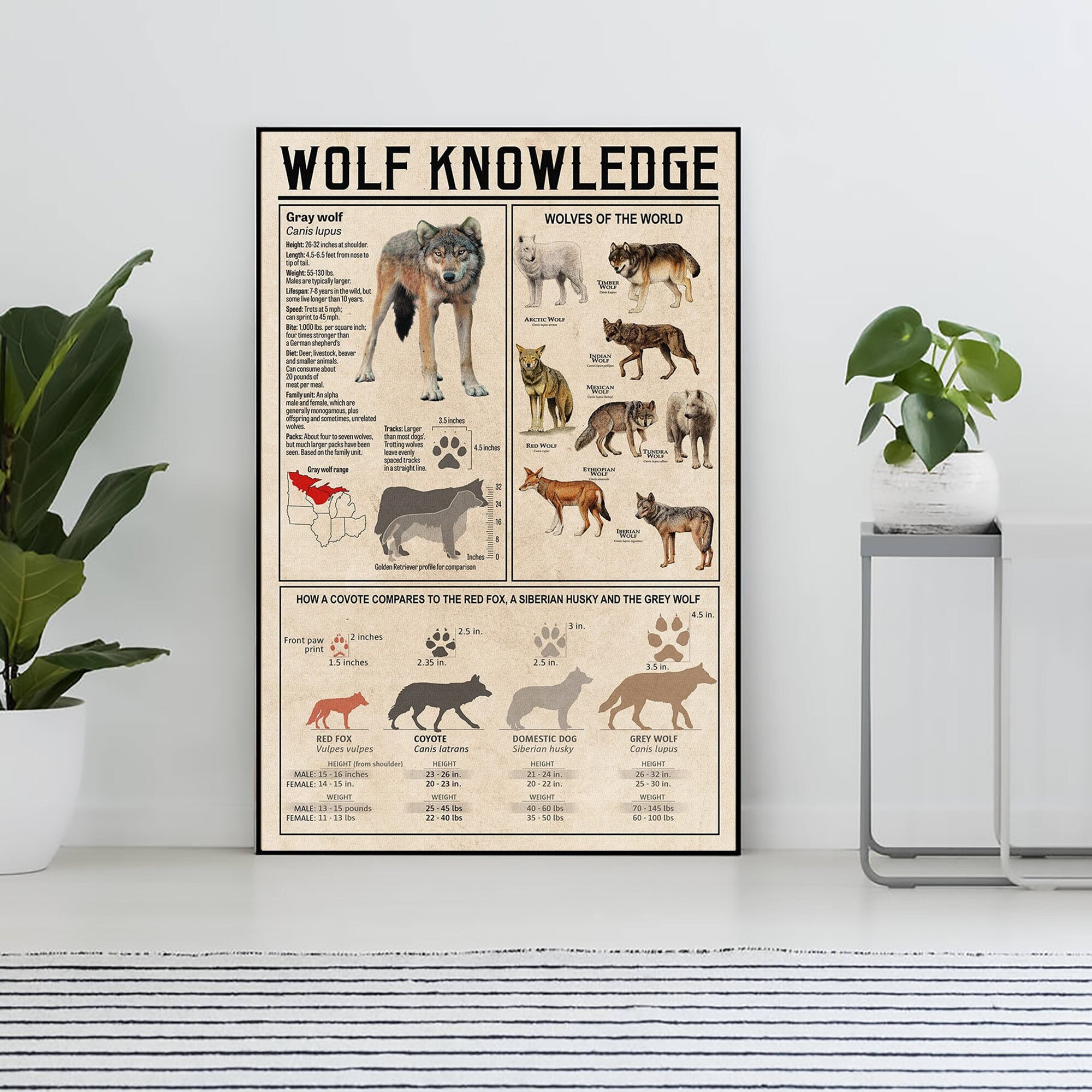 Wolf Knowledge Poster, Wolf Lover Gift, All About Wolf, Vintage ...