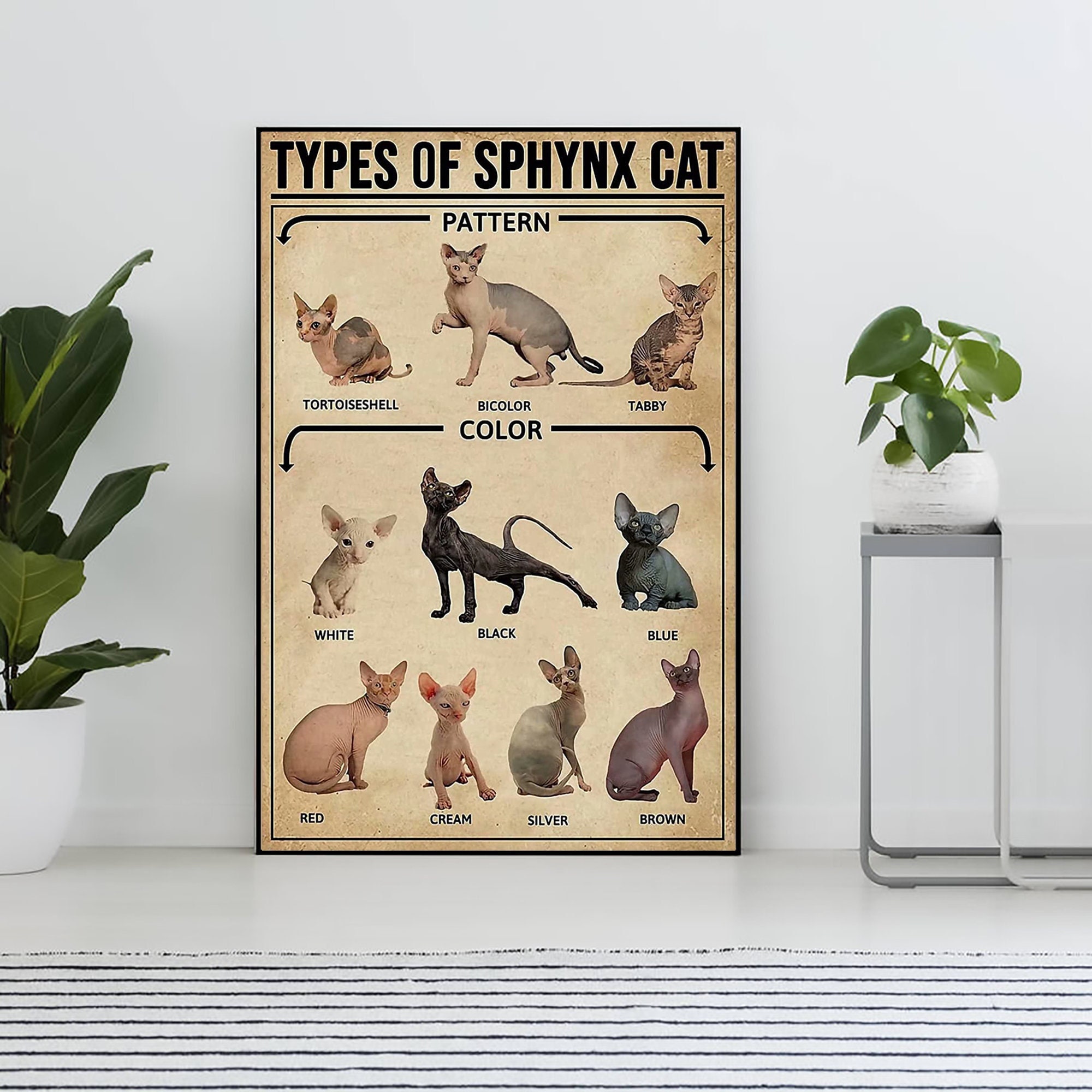 Types of Sphynx Cat Vintage Poster Sphynx Cat Lover Gift - Etsy