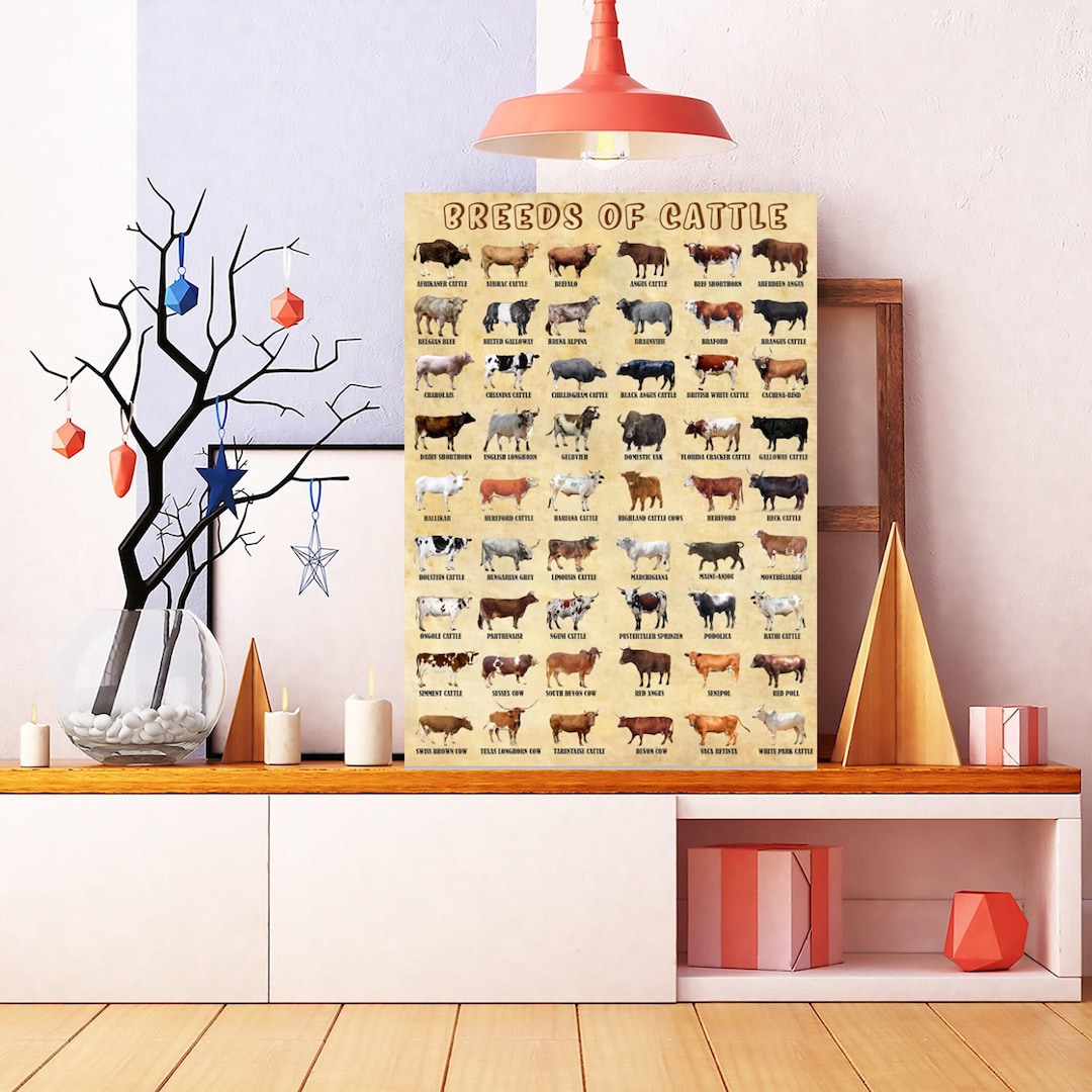 Unframed Breeds of Cattle Animal Knowledge Poster, Cattle Lover Gift ...