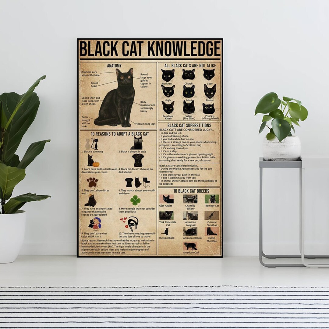 Unframed Black Cat Knowledge Poster, Black Cat Lover Gift, Black Cat ...