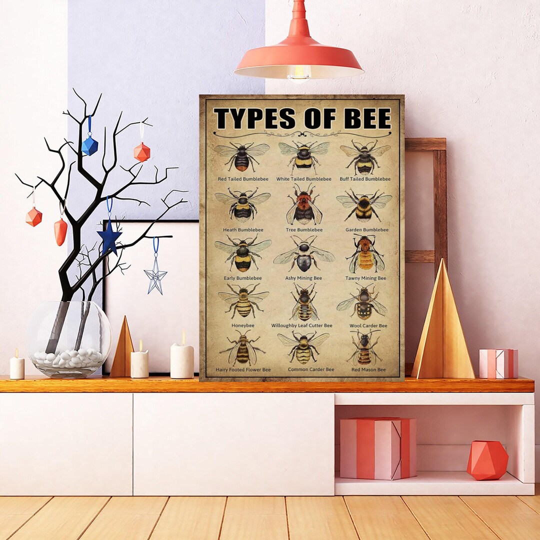 Types of Bee Poster, Bee Knowledge Poster, Bee Home Decor, Honey Bee ...