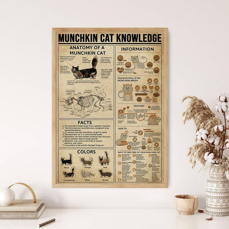 Munchkin Cat Knowledge Vintage Poster Munchkin Cat Lover - Etsy