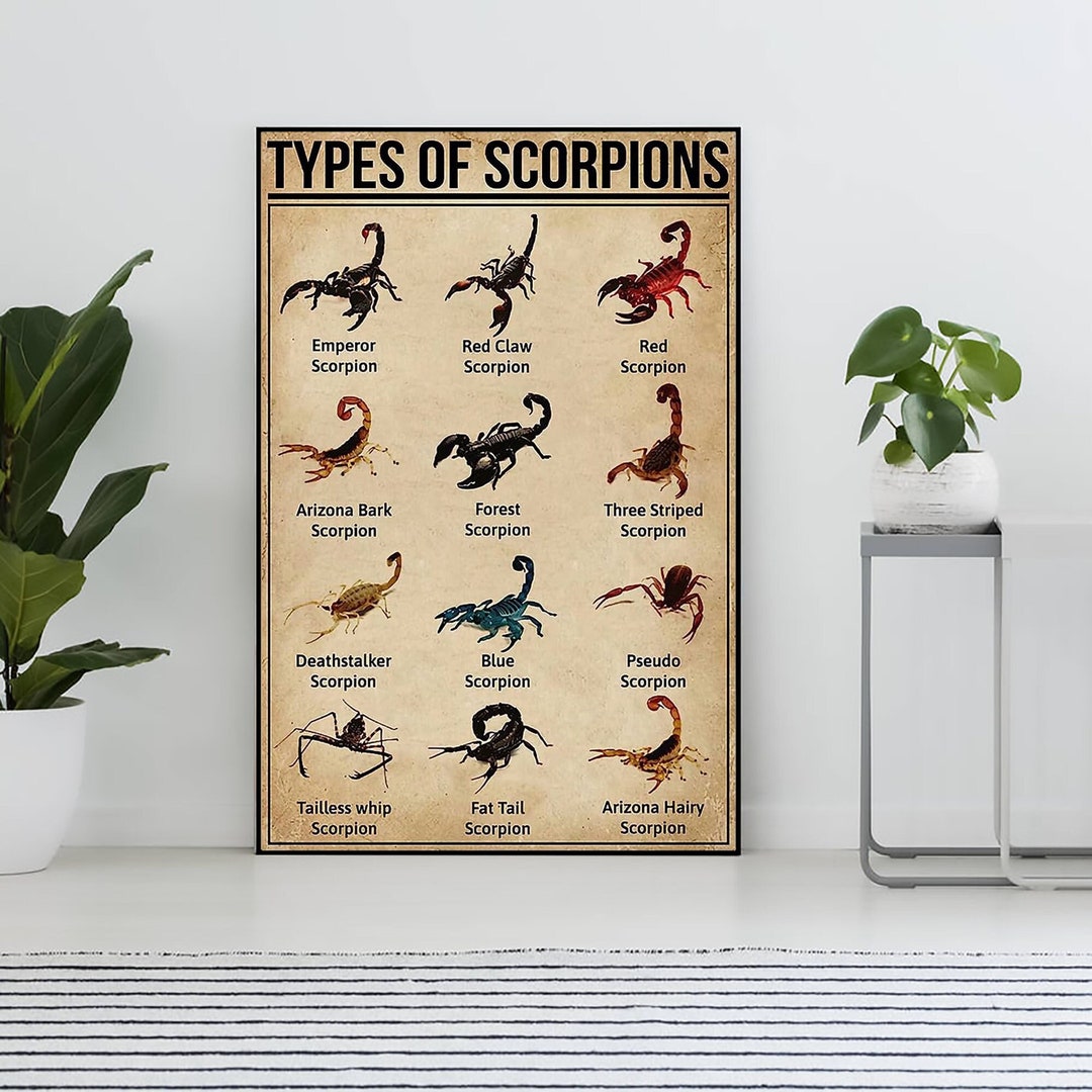 Types of Scorpions Vintage Poster, Scorpion Lover Gift, Scorpion Art ...