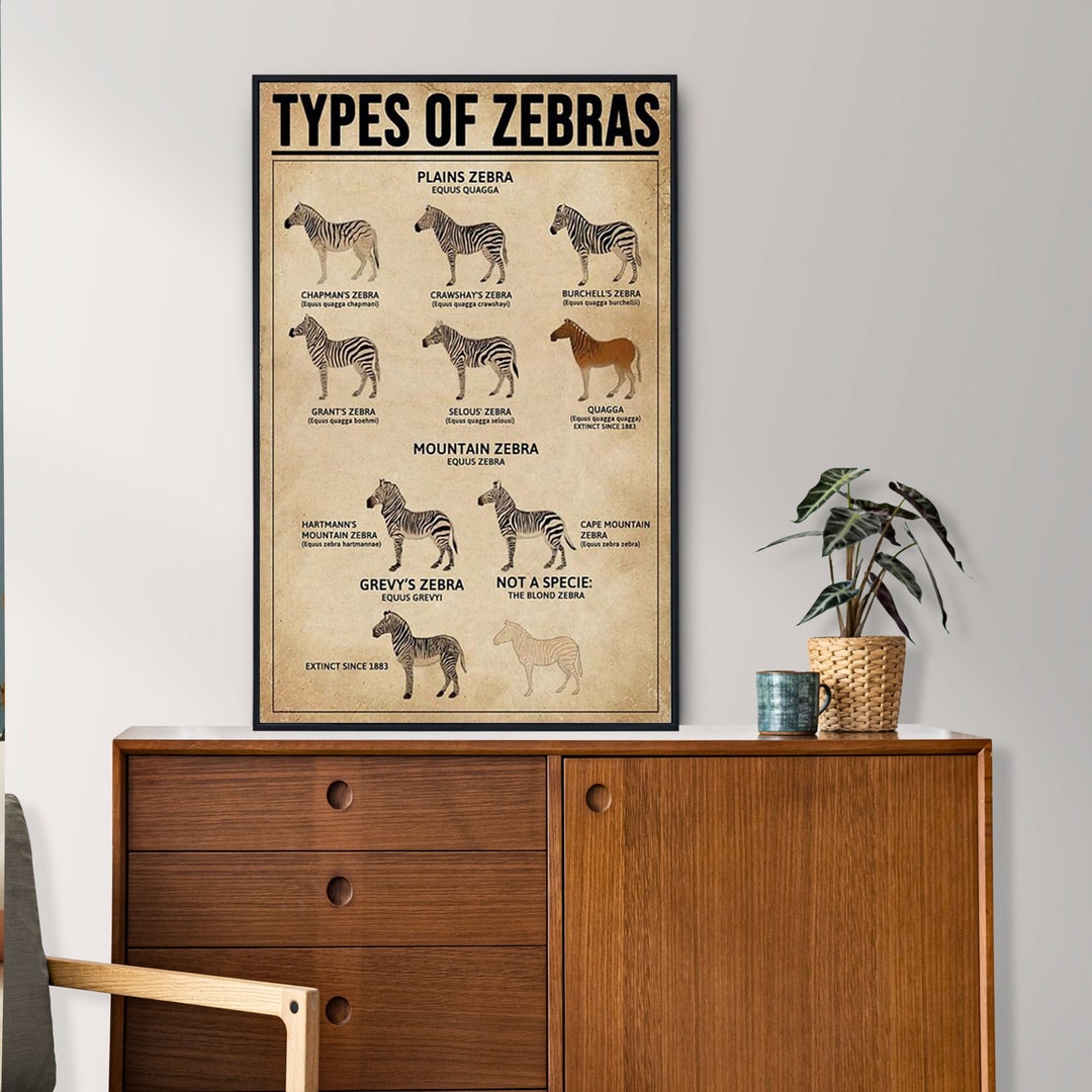 Unframed Types of Zebras Vintage Poster, Zebra Lover Gift, Zebra Poster ...