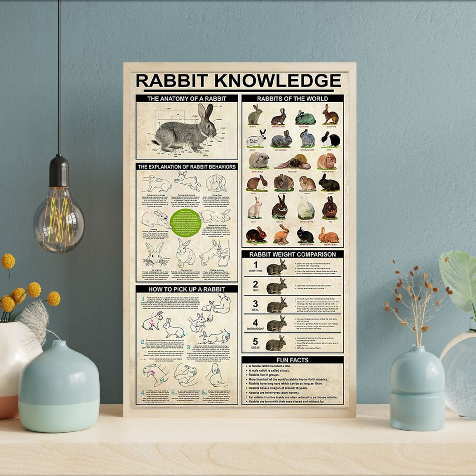 Rabbit Knowledge Poster Rabbit Lover Gift All About Rabbit - Etsy