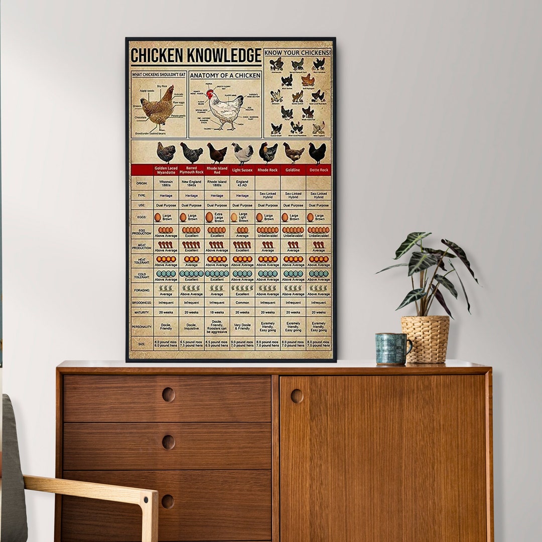 Chicken Knowledge Poster, Chicken Lover Gift, All About Chicken ...