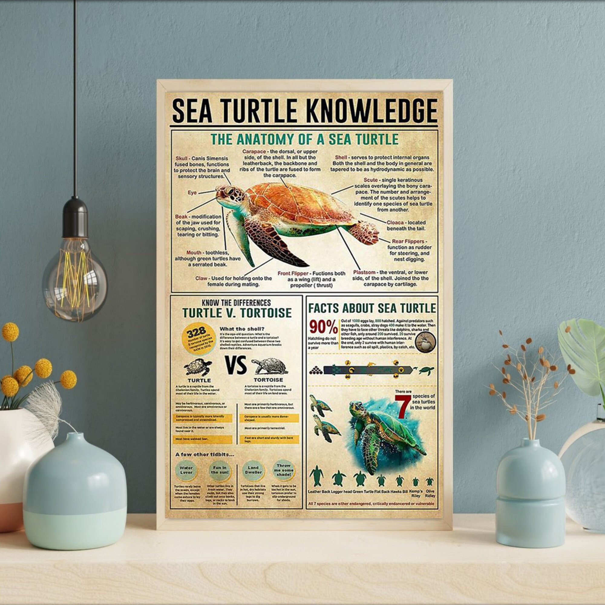 Sea Turtle Knowledge Poster Sea Turtle Lover Gift All About - Etsy