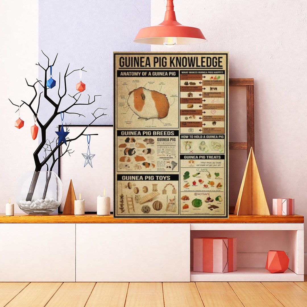 Unframed Guinea Pig Knowledge Poster, Guinea Pig Gifts, Guinea Pig ...