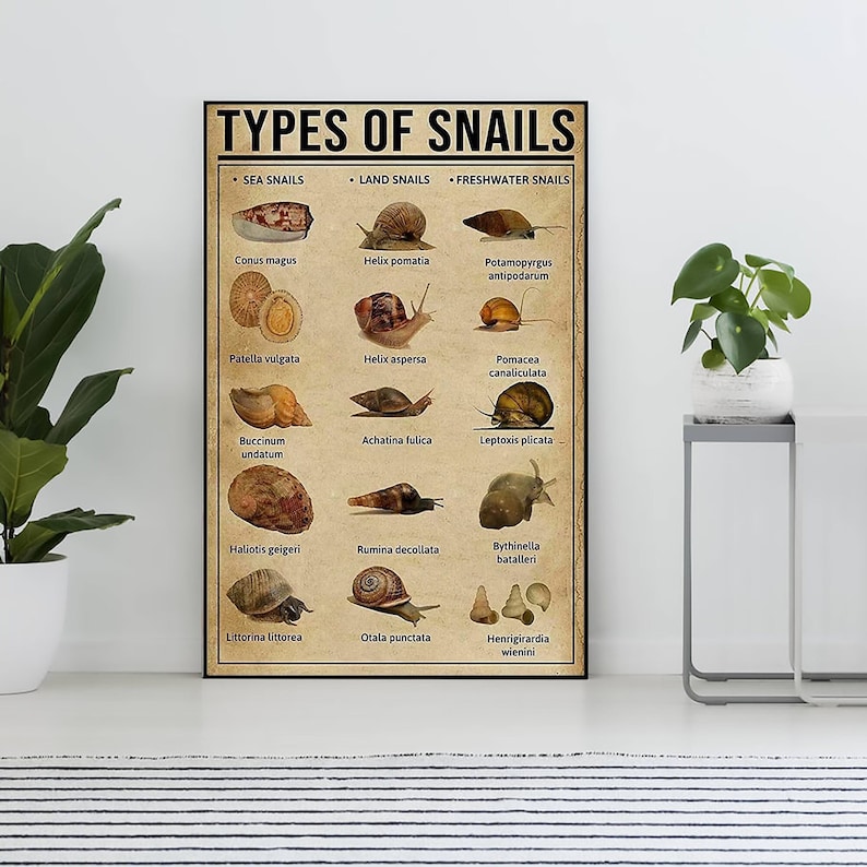 Unframed Types of Snails Vintage Poster, Snail Lover Gift, Snail Art ...