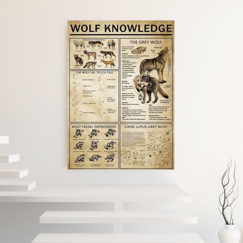 Unframed Wolf Knowledge Poster, Grey Wolf Anatomy and Behavior Chart ...