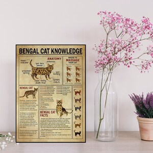 Unframed Bengal Cat Knowledge Poster, the Anatomy of A Bengal Cat, Cat ...
