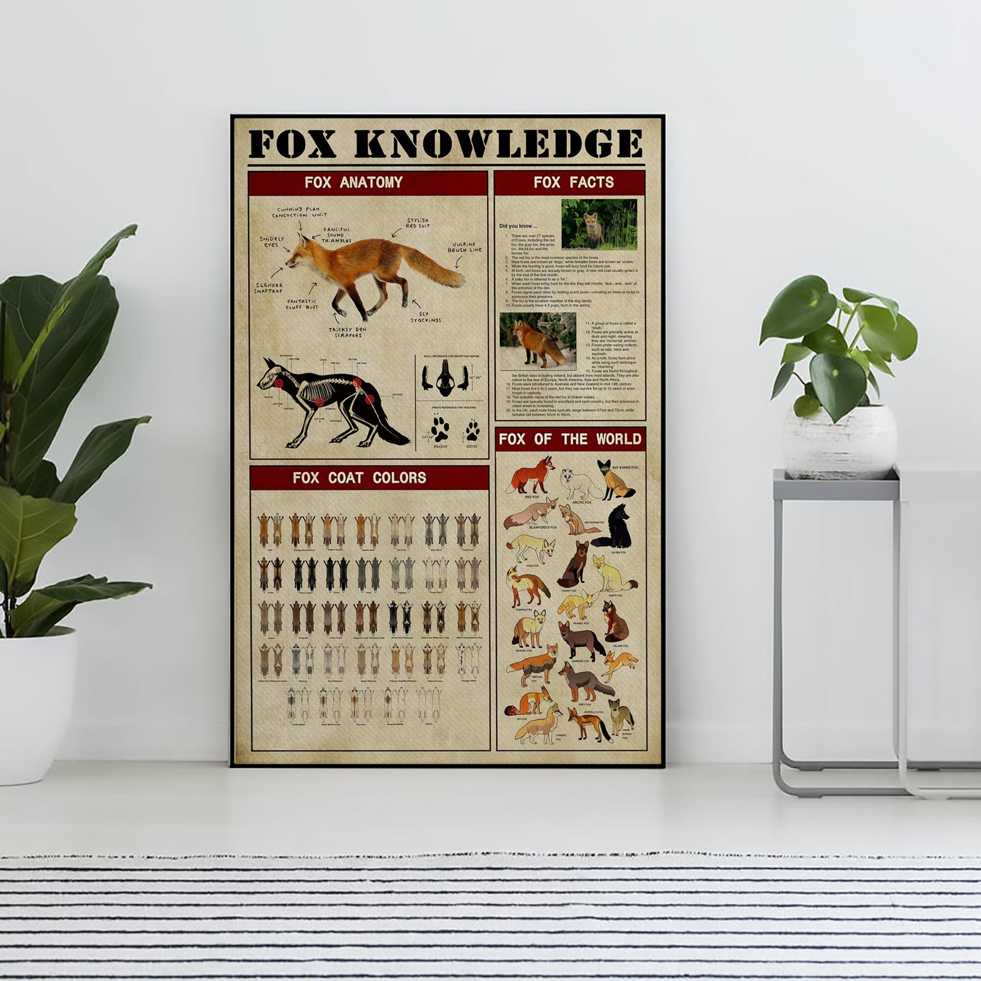 Fox Knowledge Poster, Fox Lover Gift, All About Fox, Fox Print, Vintage Knowledge Poster ...