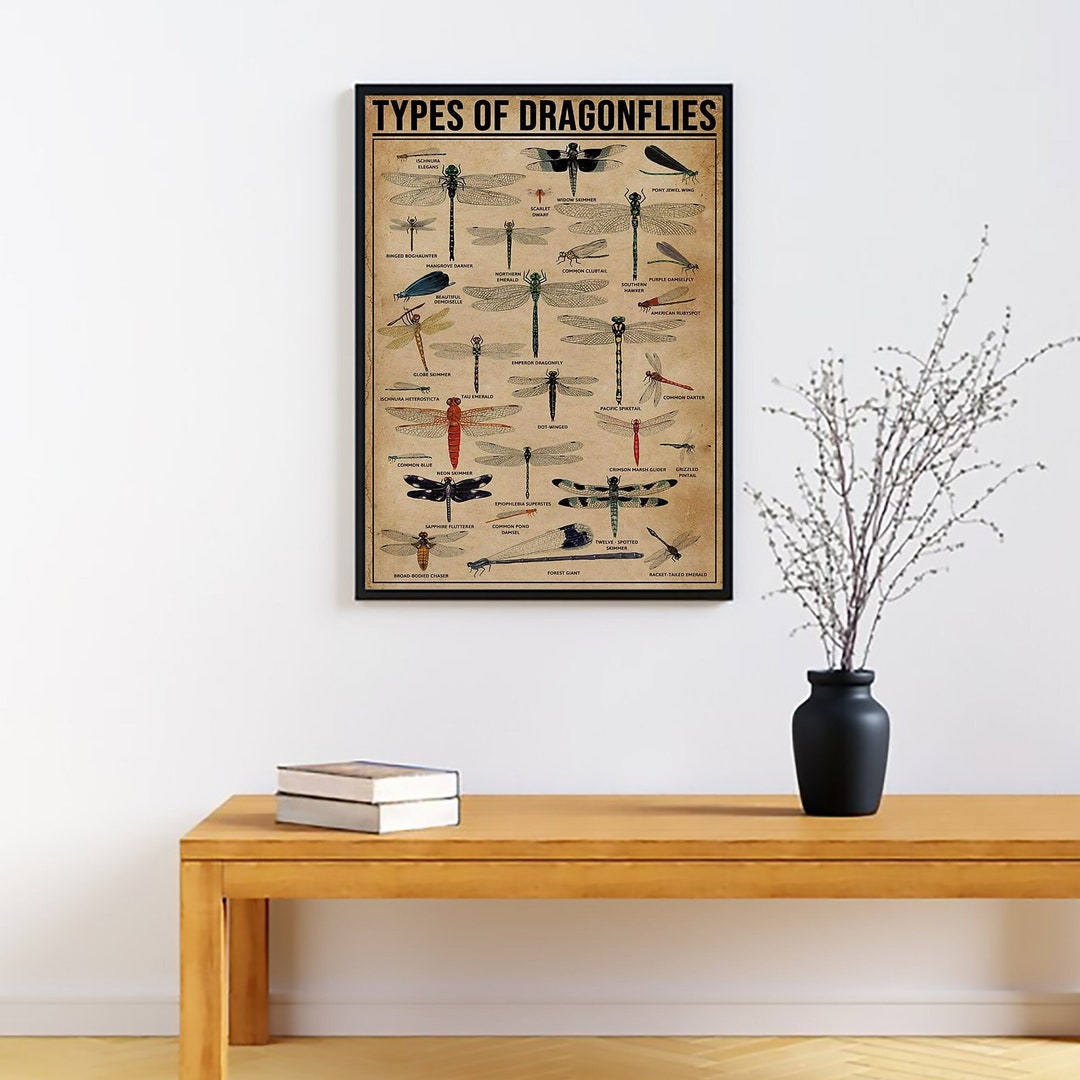 Unframed Types of Dragonflies Poster, Dragonfly Lover Gift, Dragonfly ...