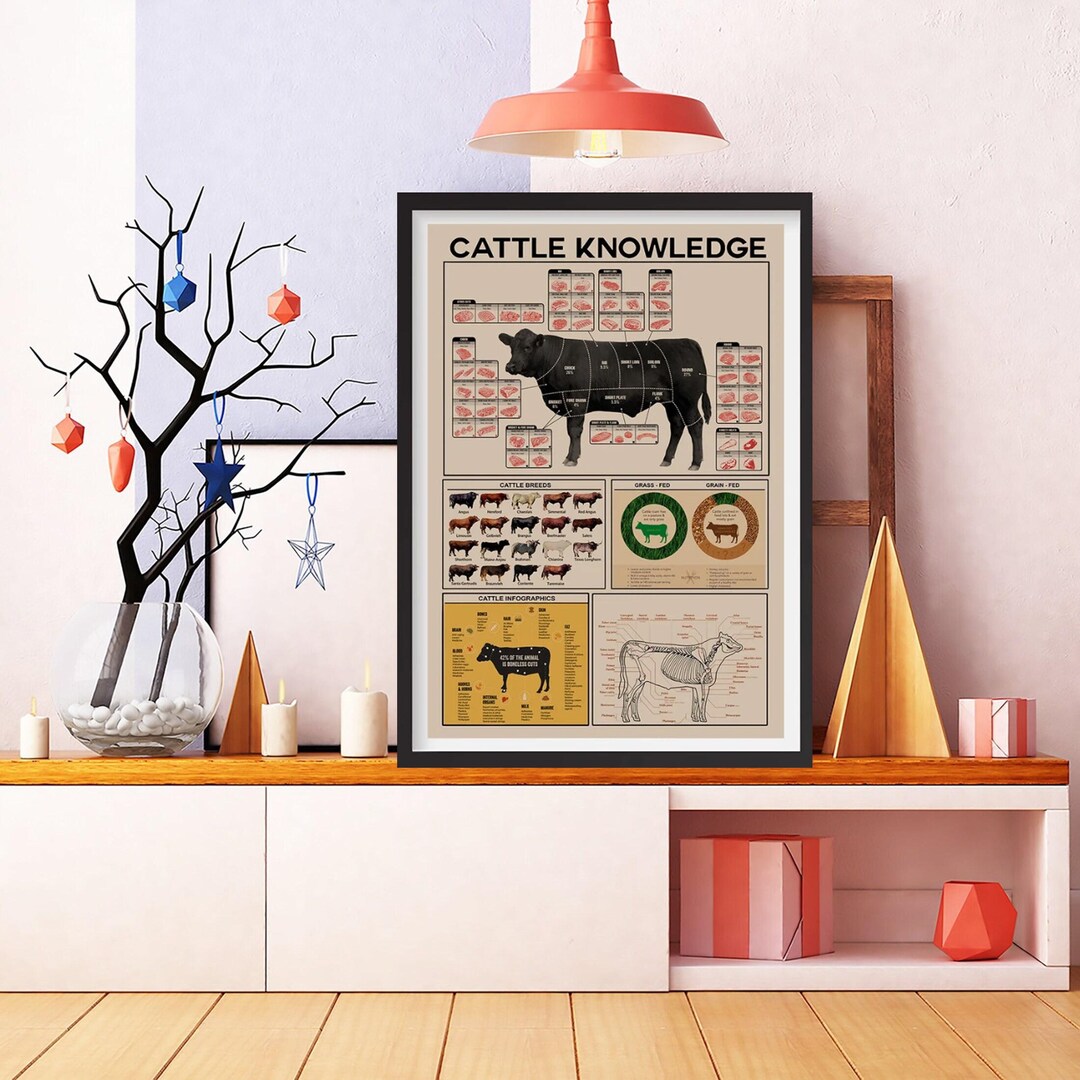 Cattle Knowledge Poster, Breef Wall Hanging, Anatomy of A Breef, Breeds ...