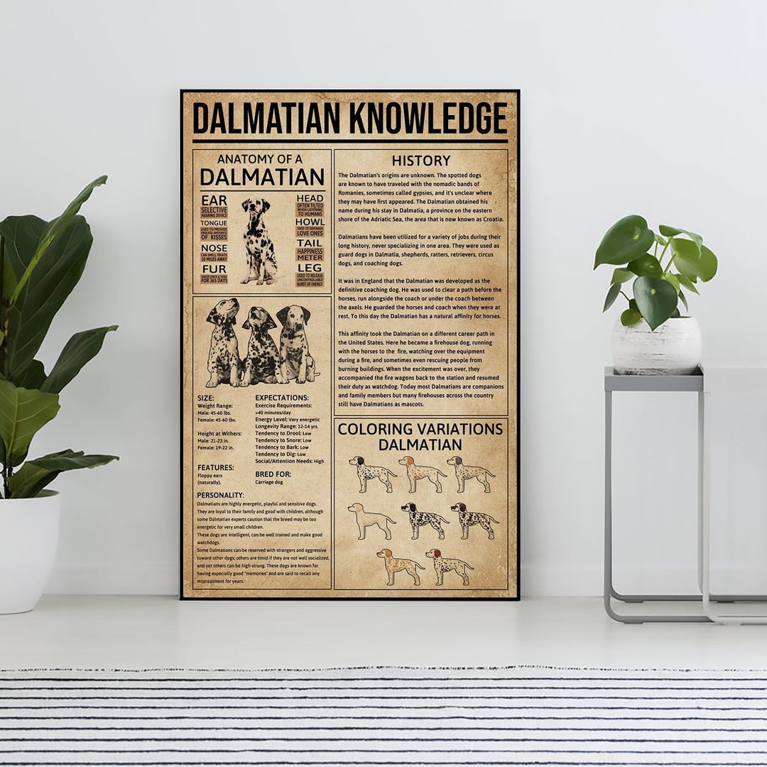 Dalmatian Knowledge Poster, Dalmatian Lover Gift, Dalmatian Art Print ...