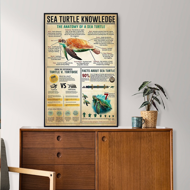 Sea Turtle Knowledge Poster Sea Turtle Lover Gift All About - Etsy