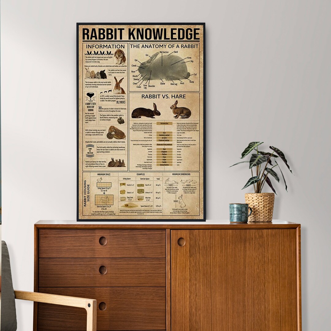 Rabbit Knowledge Poster, Rabbit Lover Gift, All About Rabbit, Vintage ...