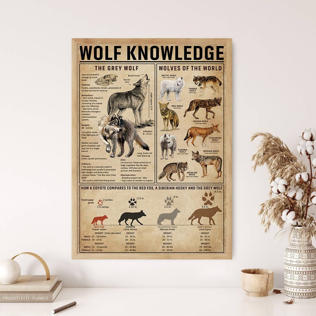 Wolf Knowledge Poster, Wolf Lover Gift, All About Wolf, Vintage ...