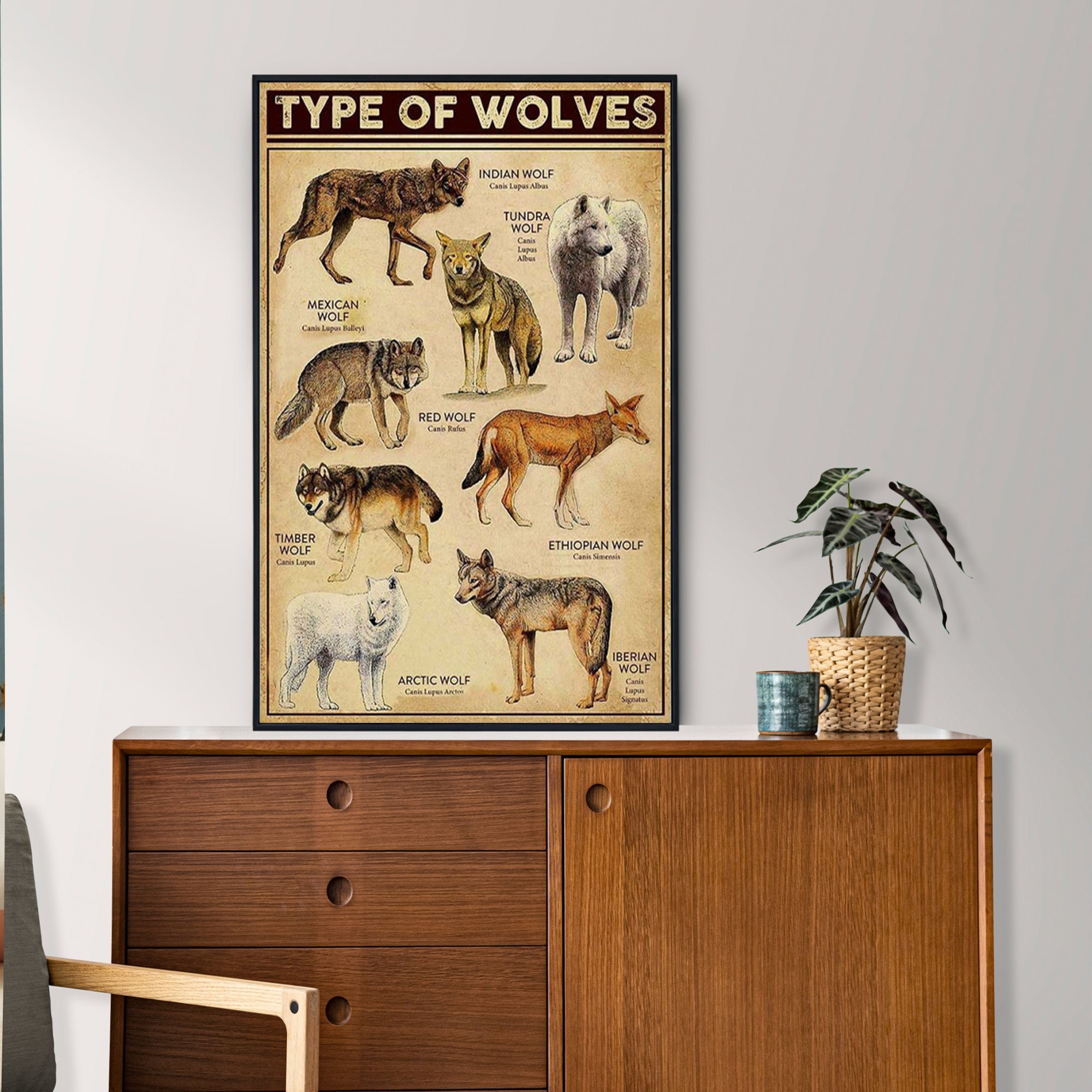 Types of Wolves Poster Wolves Lover Gift Wolves Art Print - Etsy